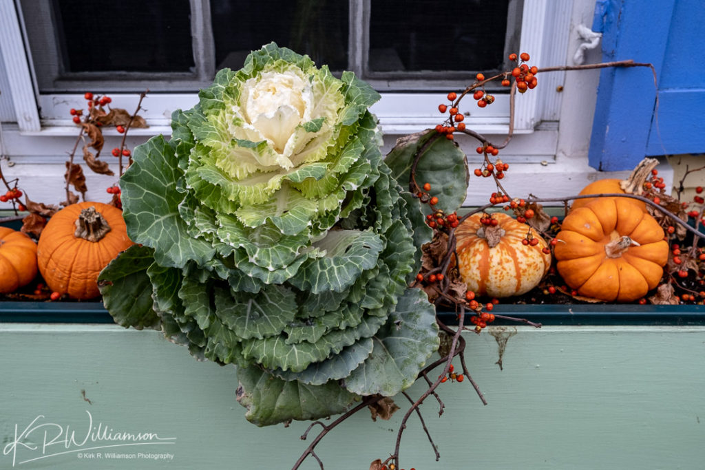 Working the composition - Cape Ann Photo Tours